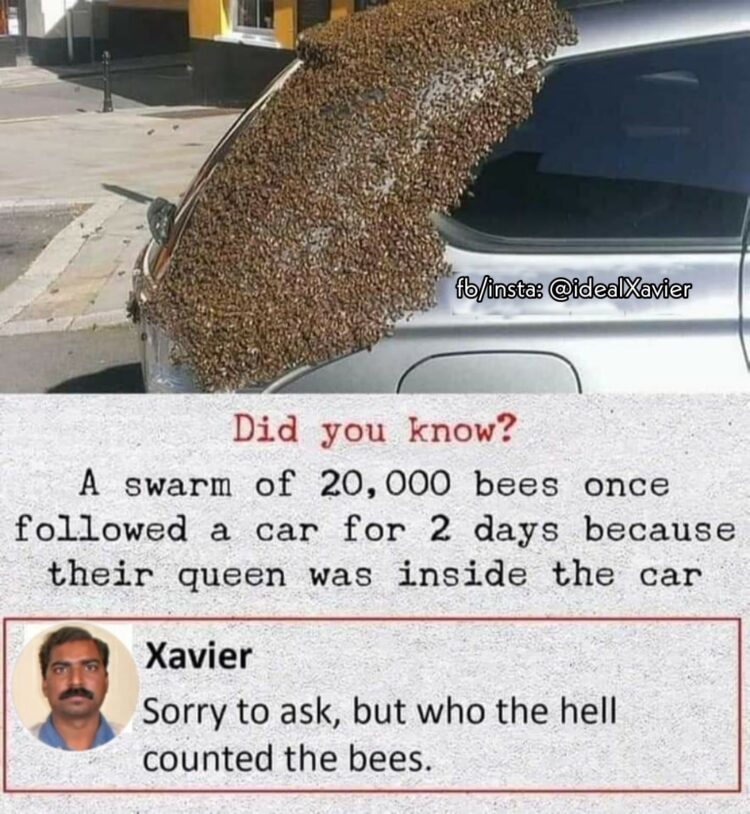 Pakalu Papito: The Indian Moustache Guy Behind The Xavier Memes On FB ...