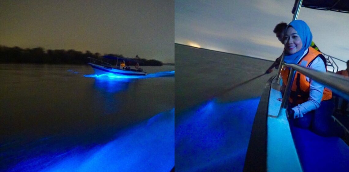 7 Locations In Malaysia Where You Can Find Blue Tears - Hype Malaysia