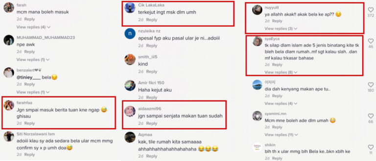 (Video) Netizens Shocked To See Kelantan Family With Giant Python As ...