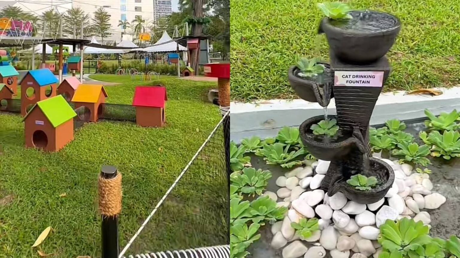(Video) Catopia: New Stray Cat Park Opens In Shah Alam & It's Free! - Hype Malaysia