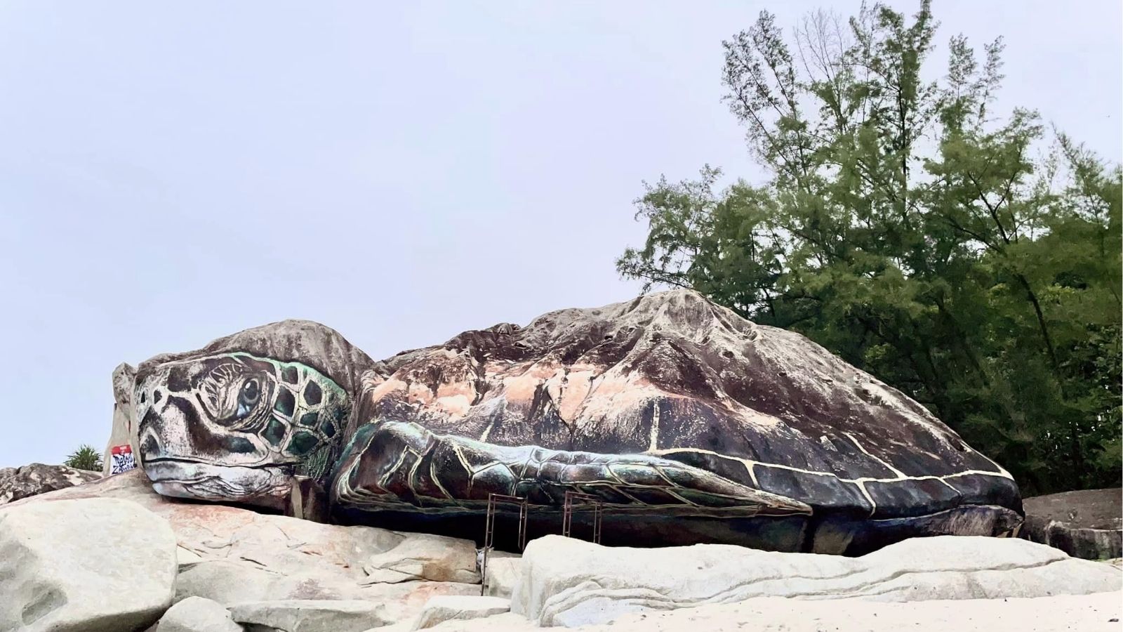 Giant Turtle Mural In Pahang Goes Viral; Draws Hundreds Of Visitors ...
