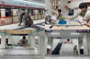 (Video) YouTuber Builds Fully Functional Mini Subway Station For His ...