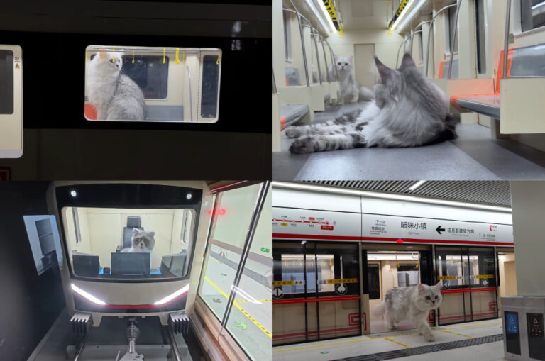 (Video) YouTuber Builds Fully Functional Mini Subway Station For His ...