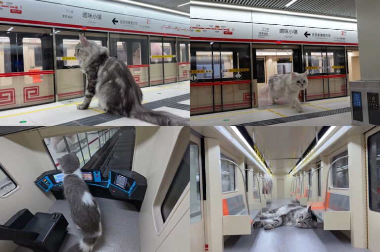 (Video) YouTuber Builds Fully Functional Mini Subway Station For His ...